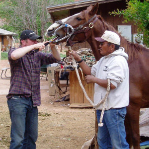 Jockey Stories » Jockeys » Home