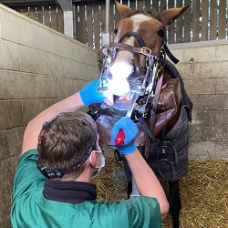 Jockey Stories » Jockeys » Home